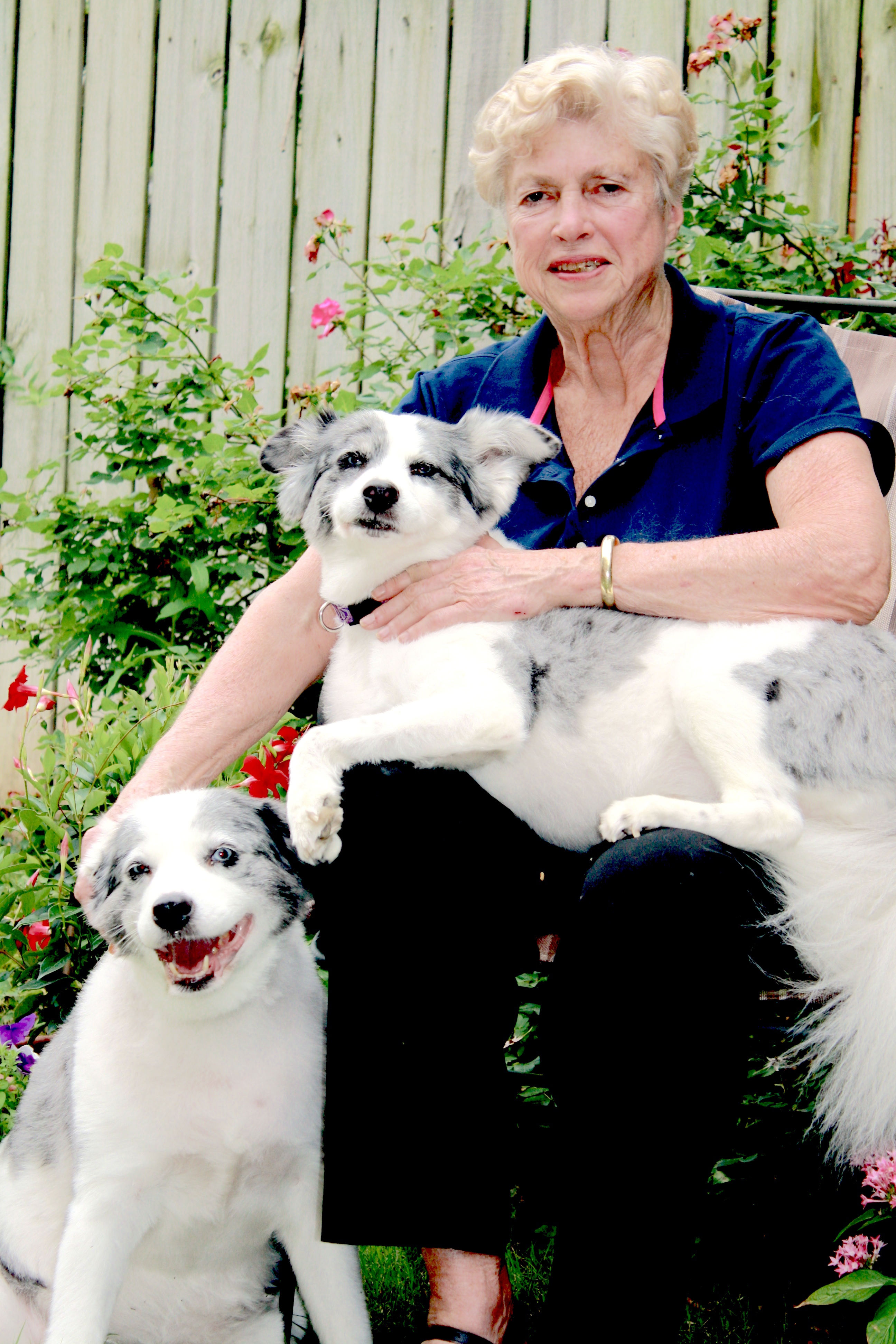 Amazon.com: Patricia Potter: books, biography, latest update