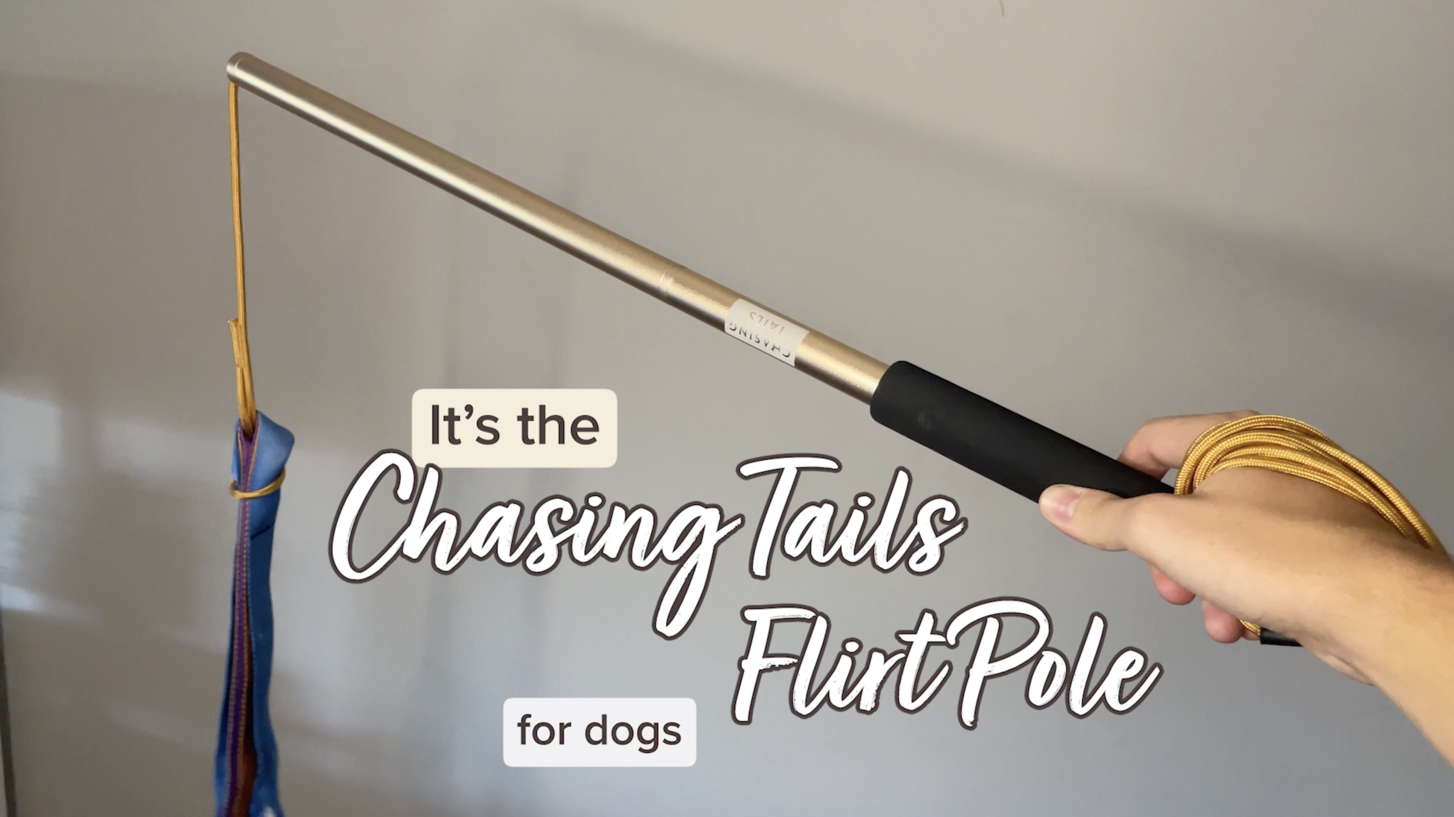 Watch Chasing Tails Flirt Pole For Dogs Large Breed Heavy Duty on ...
