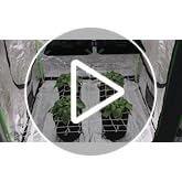 Amazon.com : VIVOSUN 5 x 30 ft. Plant Trellis Netting, Heavy-Duty ...