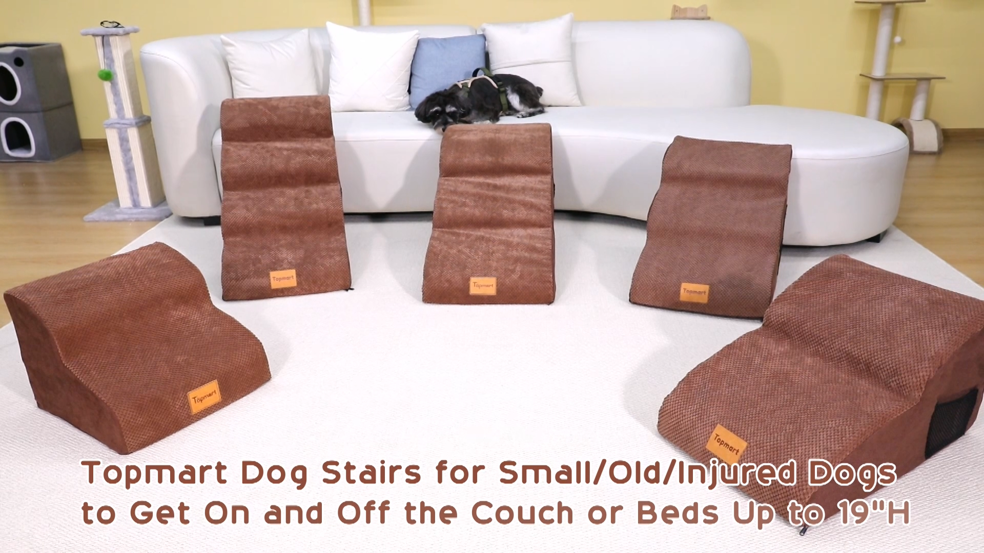Watch Topmart Dog Stairs for Small Dogs on Amazon Live