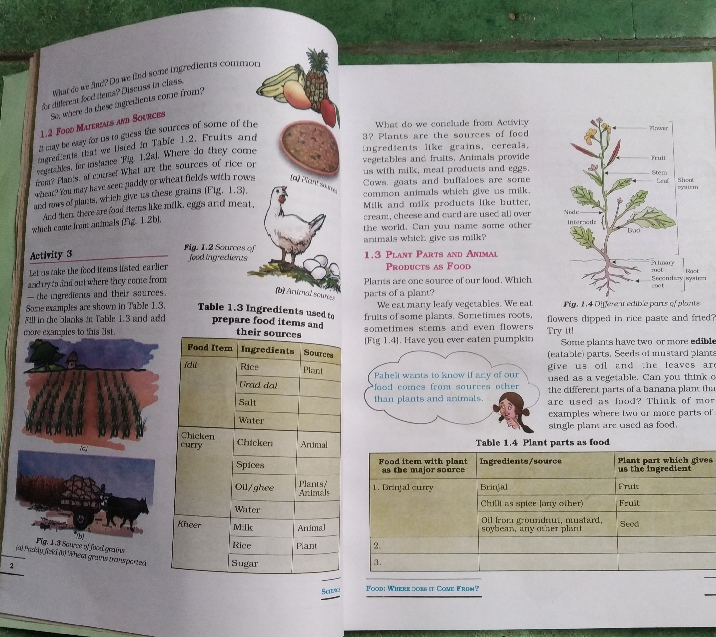 Science Textbook for Class - 6 - 652 : NCERT: Amazon.in: Books