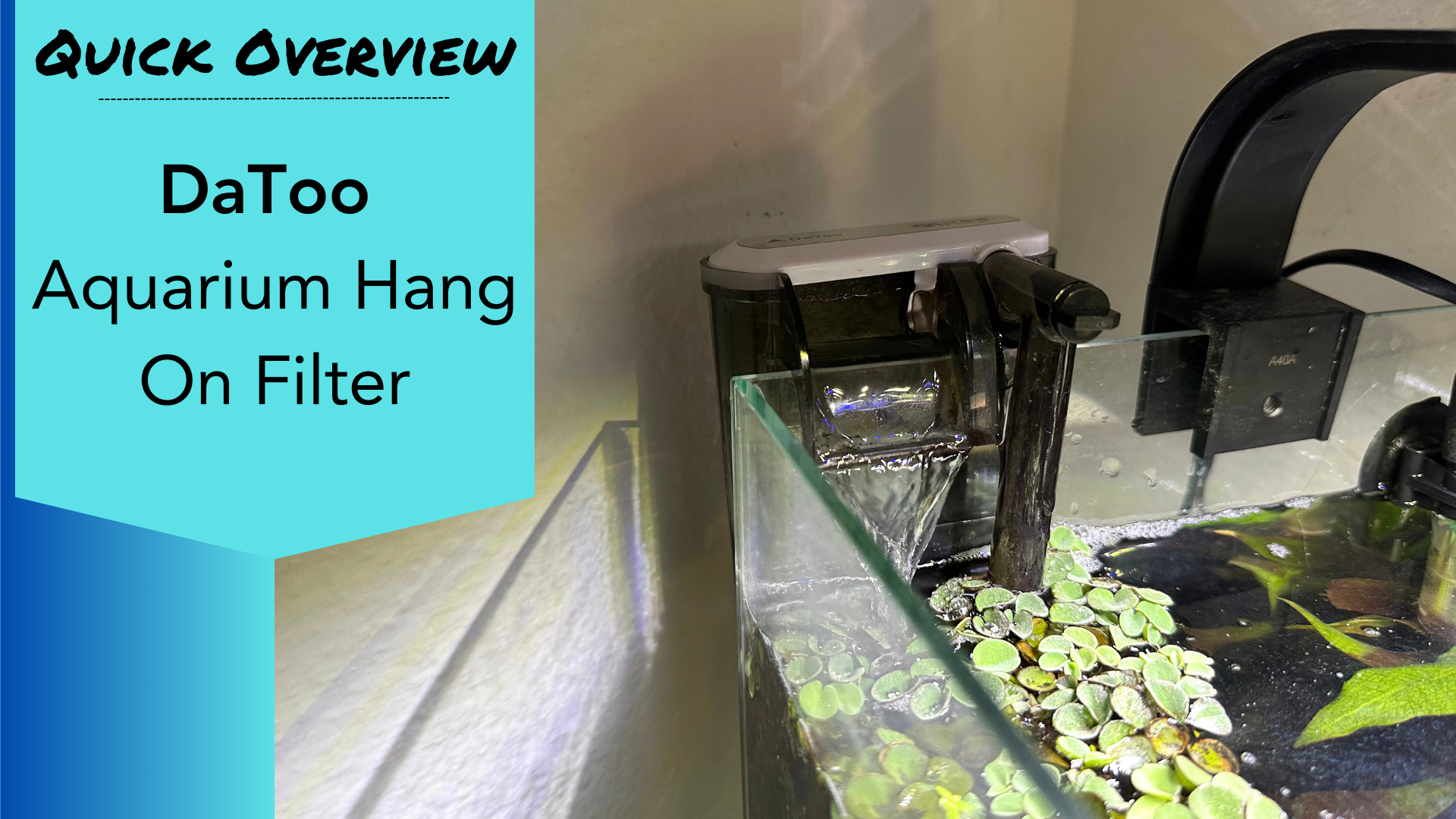 Watch DaToo Aquarium Filter& Perfect for a 5-Gallon Betta Tank! on ...