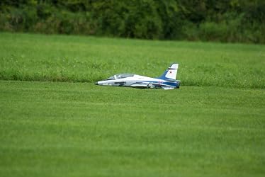 Amazon.com: E-flite RC Airplane Viper 70mm EDF Jet BNF Basic ...