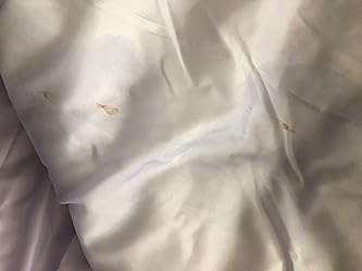 Amazon.com: Idea Nuova Disney Frozen Portable Slumber Cot, Small Single ...