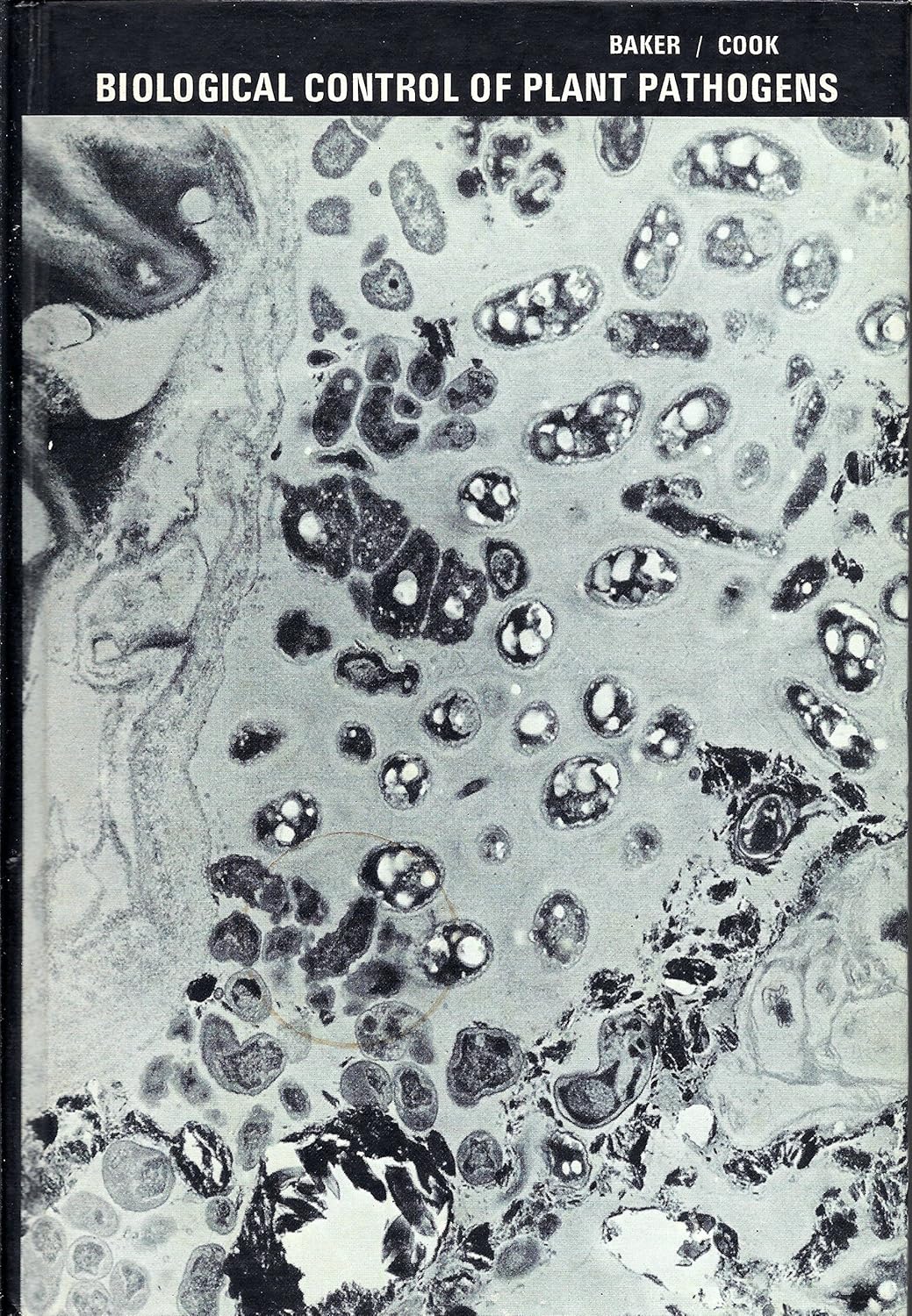 Amazon.com: Biological control of plant pathogens (A series of books in ...