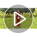 Amazon.com: Teaeeno Fire Hydrant for Dogs,Resin Outdoor Statue for ...