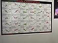 Amazon.com: Suri Duddella Trade Chart Patterns Poster (24" x 36 ...