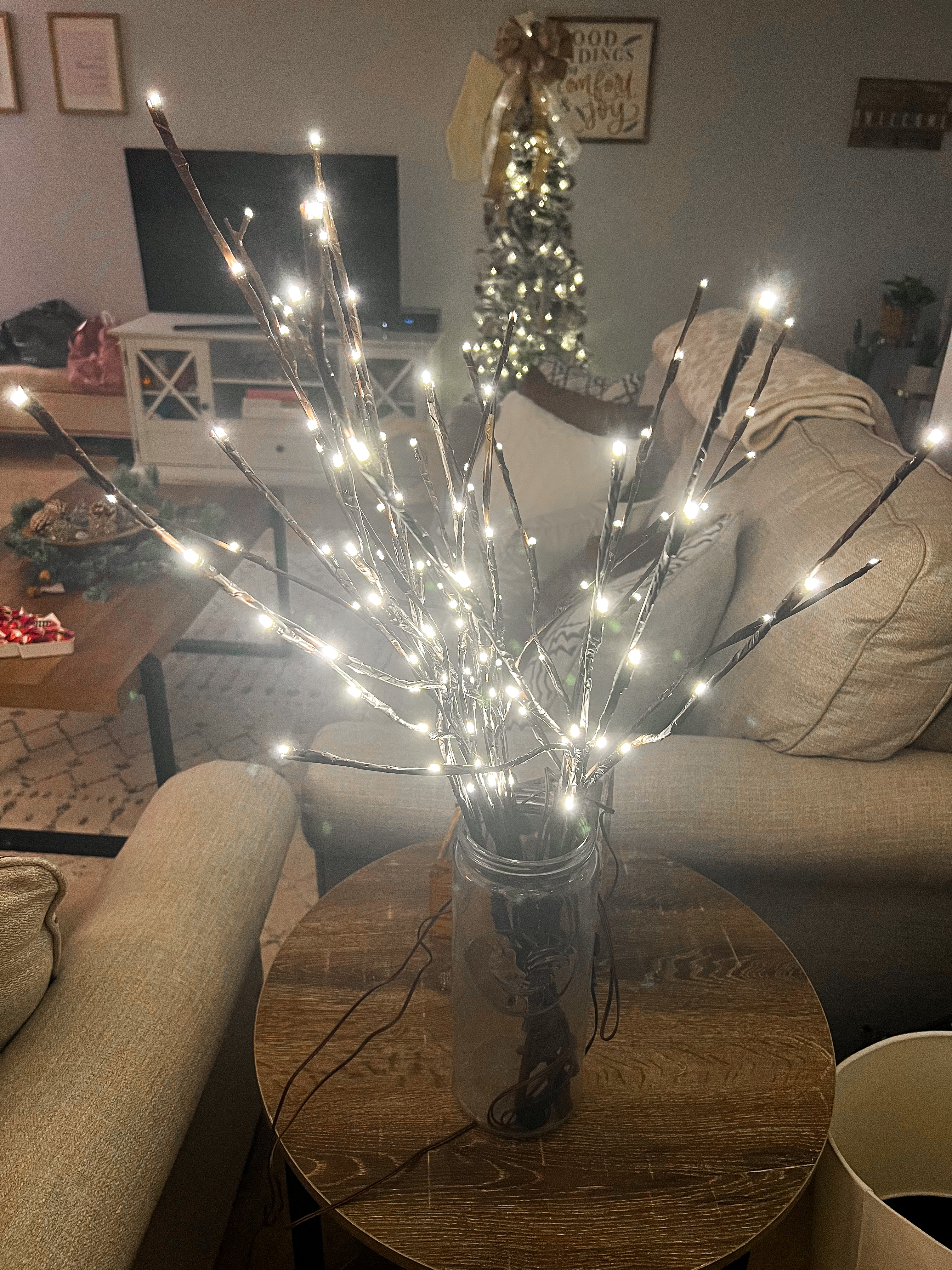 Watch Holiday decor, pre-lit branches on Amazon Live