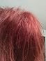 Amazon.com : Kristin Ess The One Signature Hair Gloss - Bittersweet ...