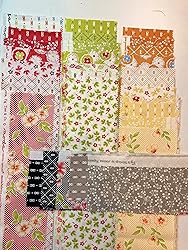 Amazon.com: Moda Scrap Bag Assortment Fabric Quilting Strips 1/2lb. by Moda