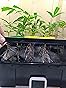 Amazon.com : DWC Cloner Rooting Recirculating System 24 Site Cutting ...