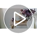 Amazon.com: Brooklyn Candle Studio Reed Scent Diffuser - Love Potion ...