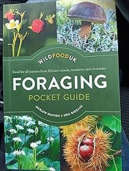 Foraging Pocket Guide: Food for all seasons from Britain's woods ...