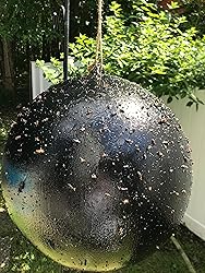 Amazon.com: Bug Ball Starter Kit- Yellow Fly, Horse Fly, Deer Fly, and ...