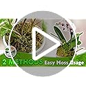 Amazon.com : DUSPRO 5 LBS Big Bag Dried Forest Moss for Plant ...