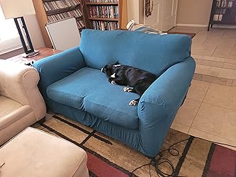 Amazon.com: AUJOY Stretch 2-Piece Sofa Covers Water-Repellent Dog Cat ...