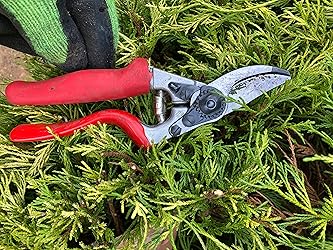 Felco FEL7 Model 7 Professional Secateurs, Red : Amazon.co.uk: Garden