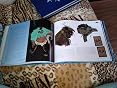 The Art of Moana: (Moana Book, Disney Books for Kids, Moana Movie Art ...