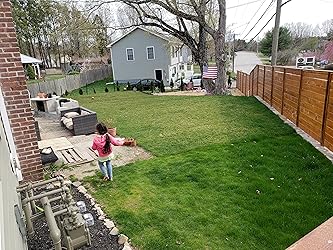 Amazon.com : Lawnbox Grass Genie 10-0-6 100% Organic Spring Grass ...