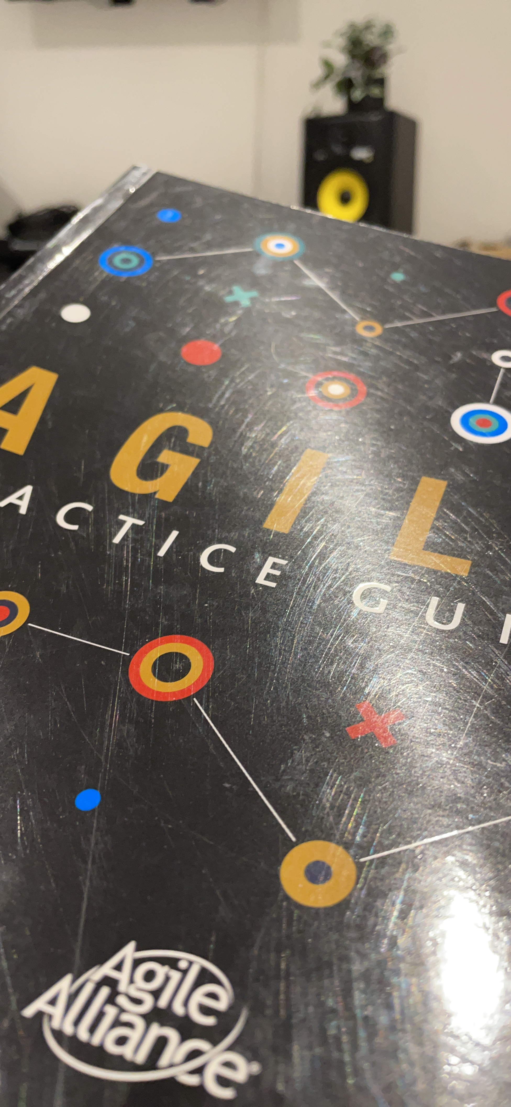 Agile Practice Guide : Project Management Institute: Amazon.com.au: Books