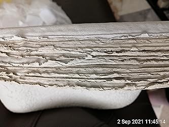 Vernacare Pulp Bed Pan - Box of 10 : Amazon.co.uk: Health & Personal Care