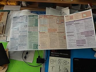 Physics (Quick Study Academic): Dr. Eric Hines, Mark Jackson Ph.D.: 9781423203100: Amazon.com: Books