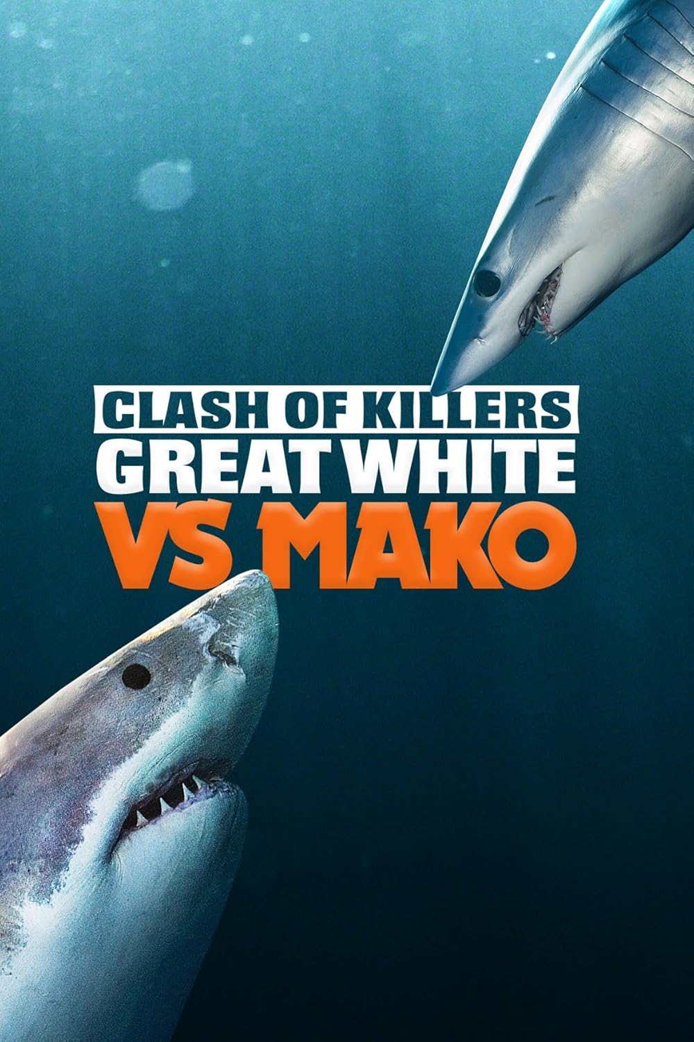 Clash of Killers: Great White vs Mako (TV Special 2022) - IMDb