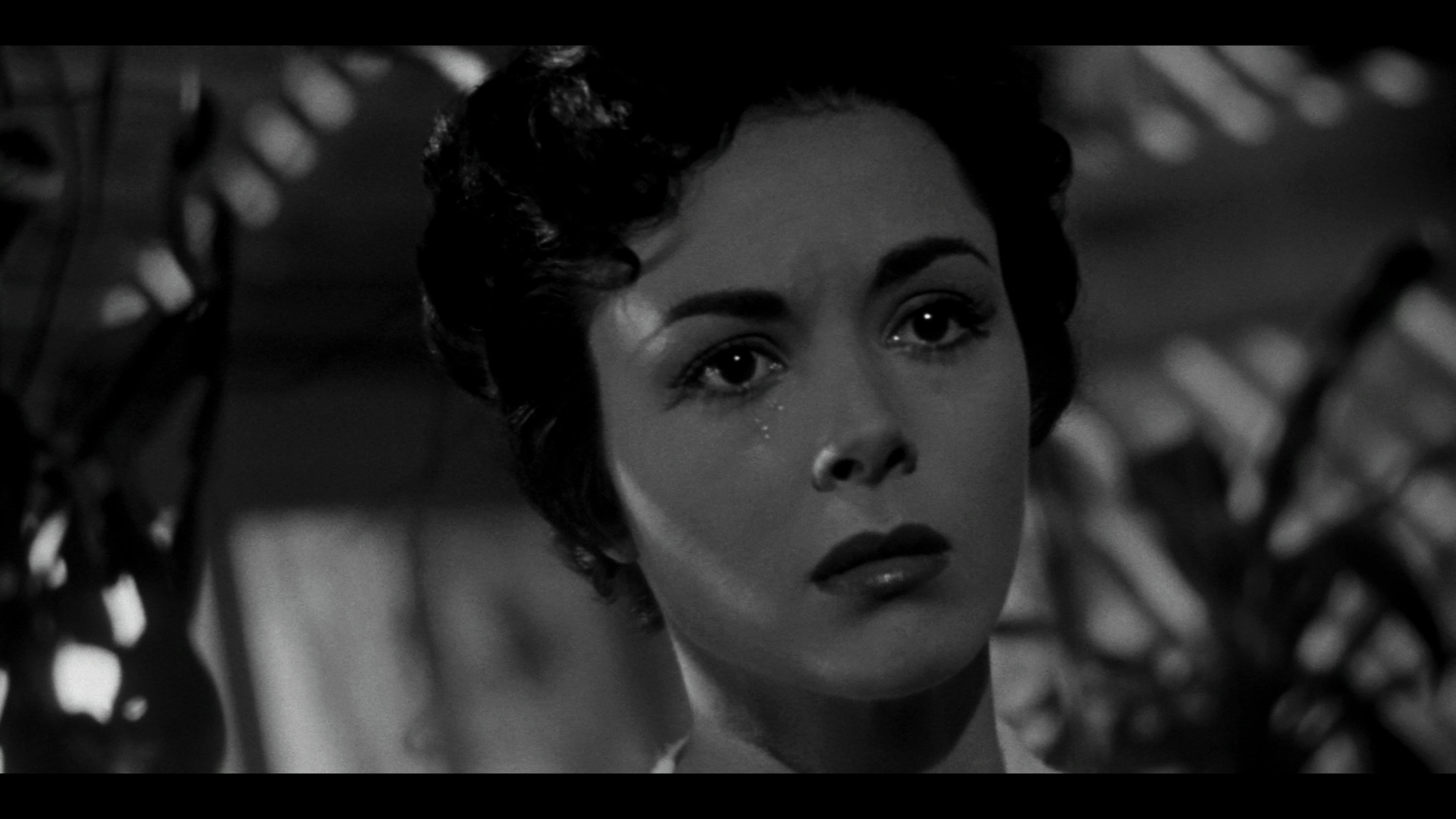 Invasion of the Body Snatchers (1956)