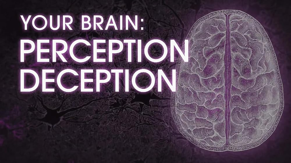 "Nova" Your Brain: Perception Deception (TV Episode 2023) - IMDb