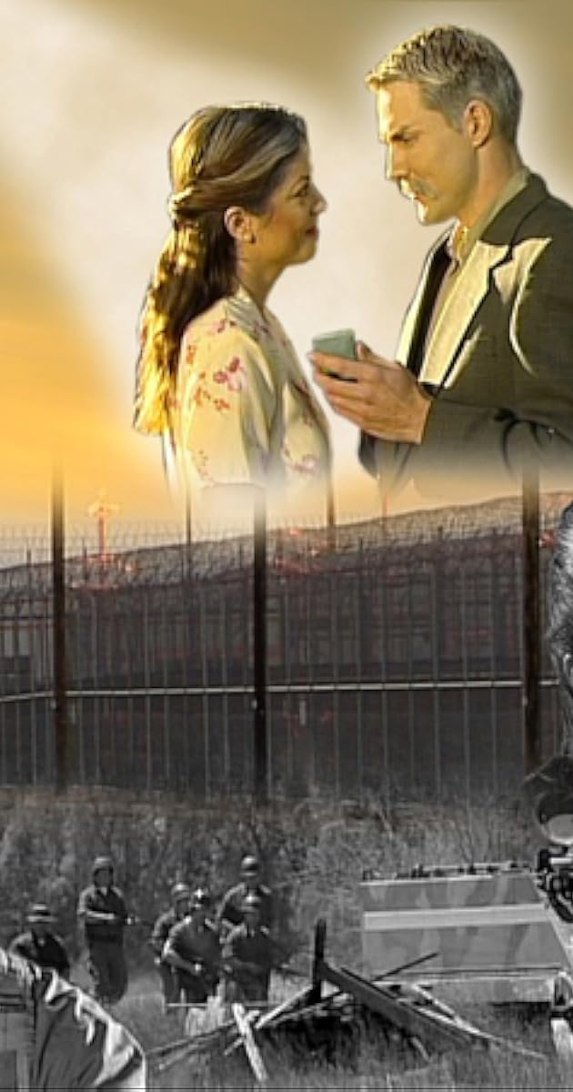 Love 2003 Plot Summary Imdb