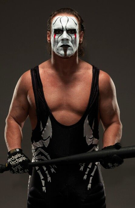 Sting Wrestler 2024 Survivor Series
