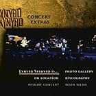 Lynyrd Skynyrd: Lyve from Steel Town (TV Special 1997) - IMDb