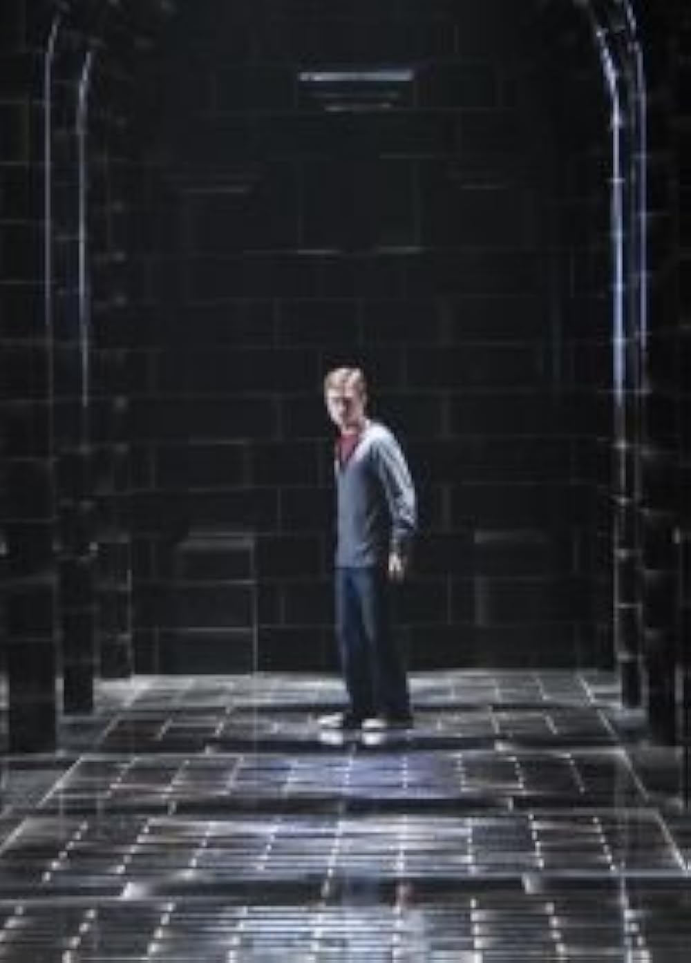 Harry Potter and the Order of the Phoenix (2007)