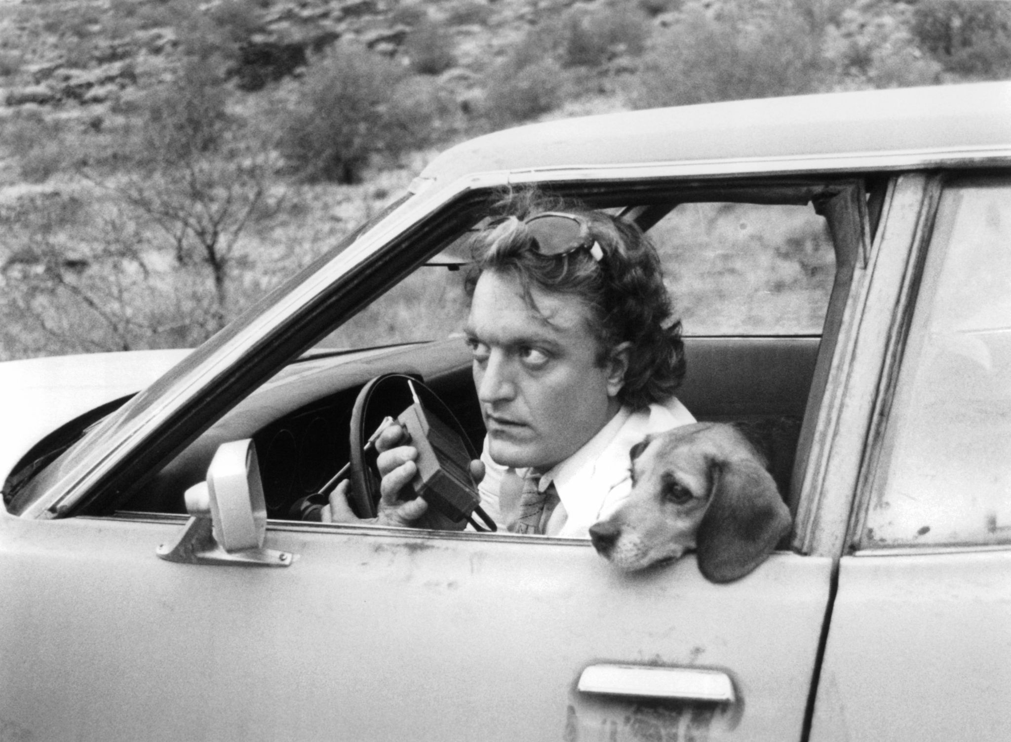 Used Cars 1980 