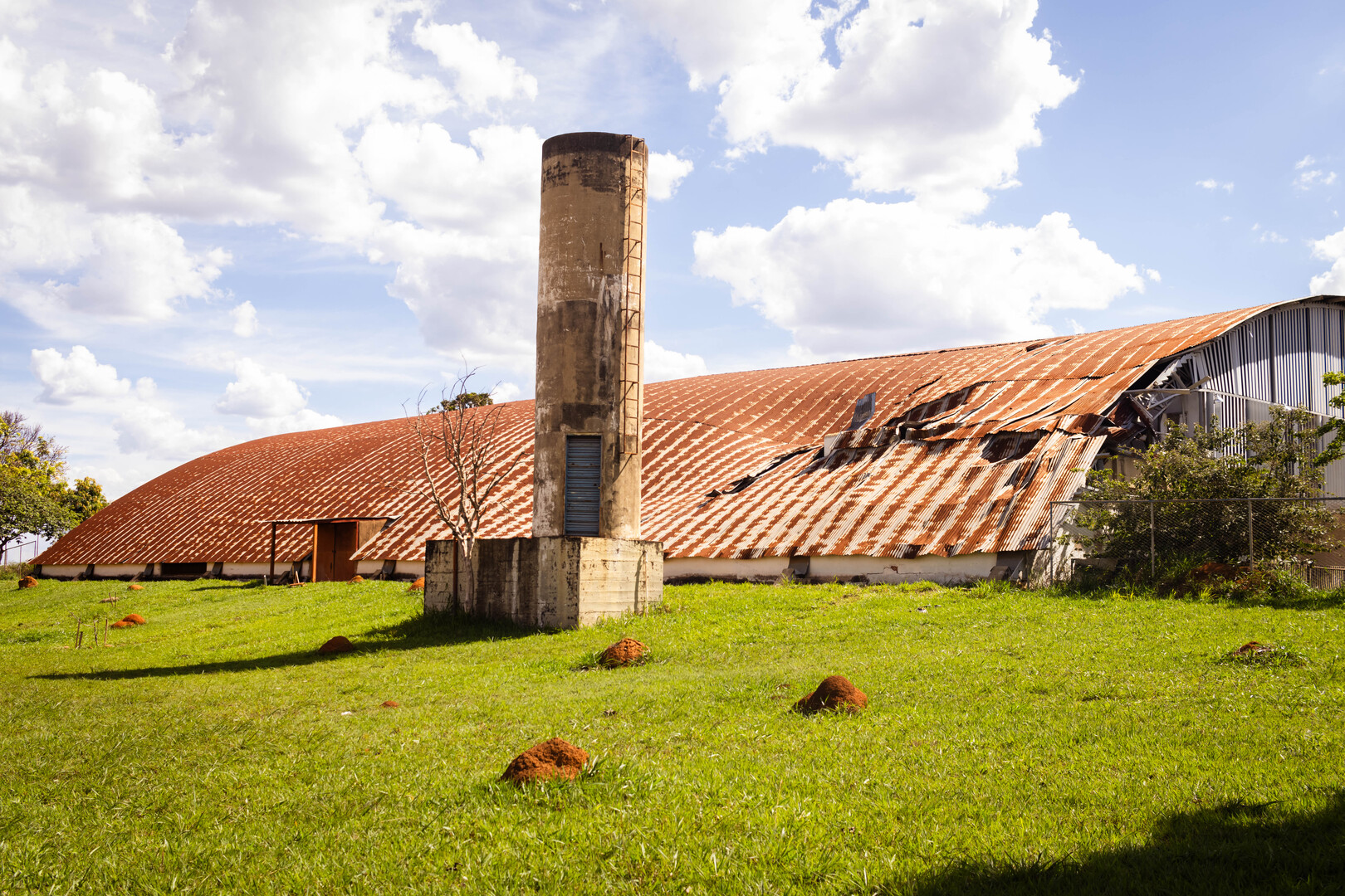 Selective Memory (2024)