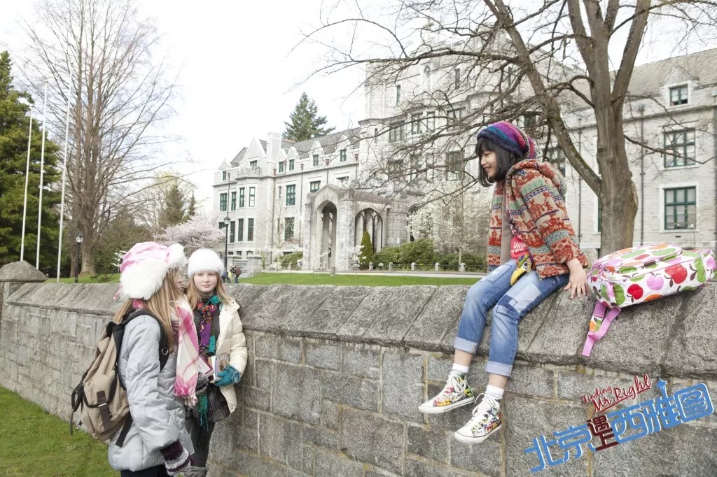 Finding Mr. Right (2013)