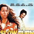 Slow Burn (Video 2000) - IMDb