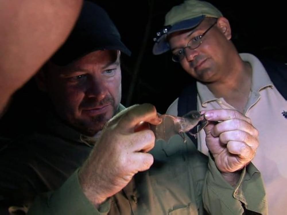"Python Hunters" Caimans of the Caribbean (TV Episode 2011) - IMDb
