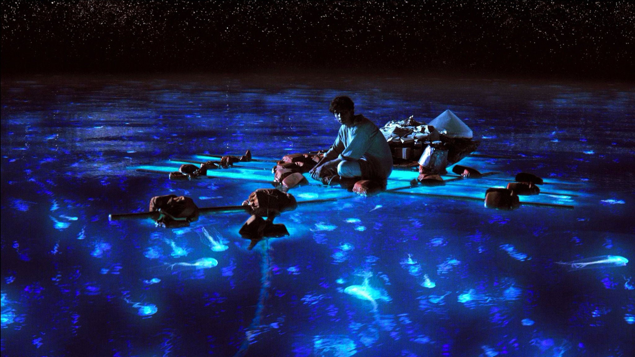 Life Of Pi 2012 