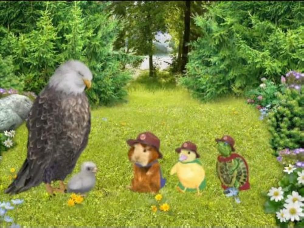 "Wonder Pets!" Save the Egg!/Save the Flamingo! (TV Episode 2007) - IMDb