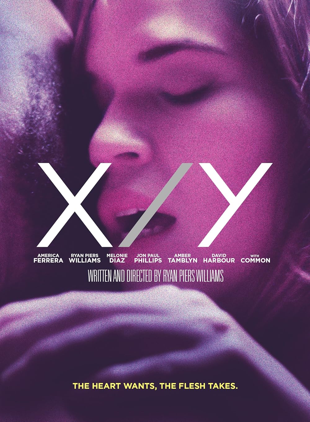 X Y 2014 IMDb