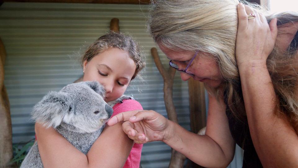 izzy-s-koala-world-2020