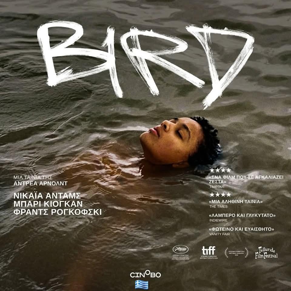 Bird (2024)