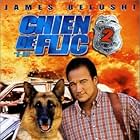 K-911 (Video 1999) - IMDb