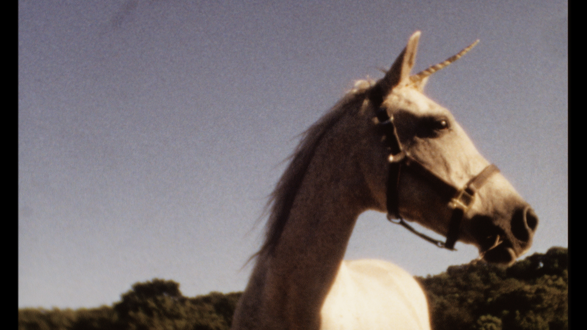 I Believe in Unicorns (2014)