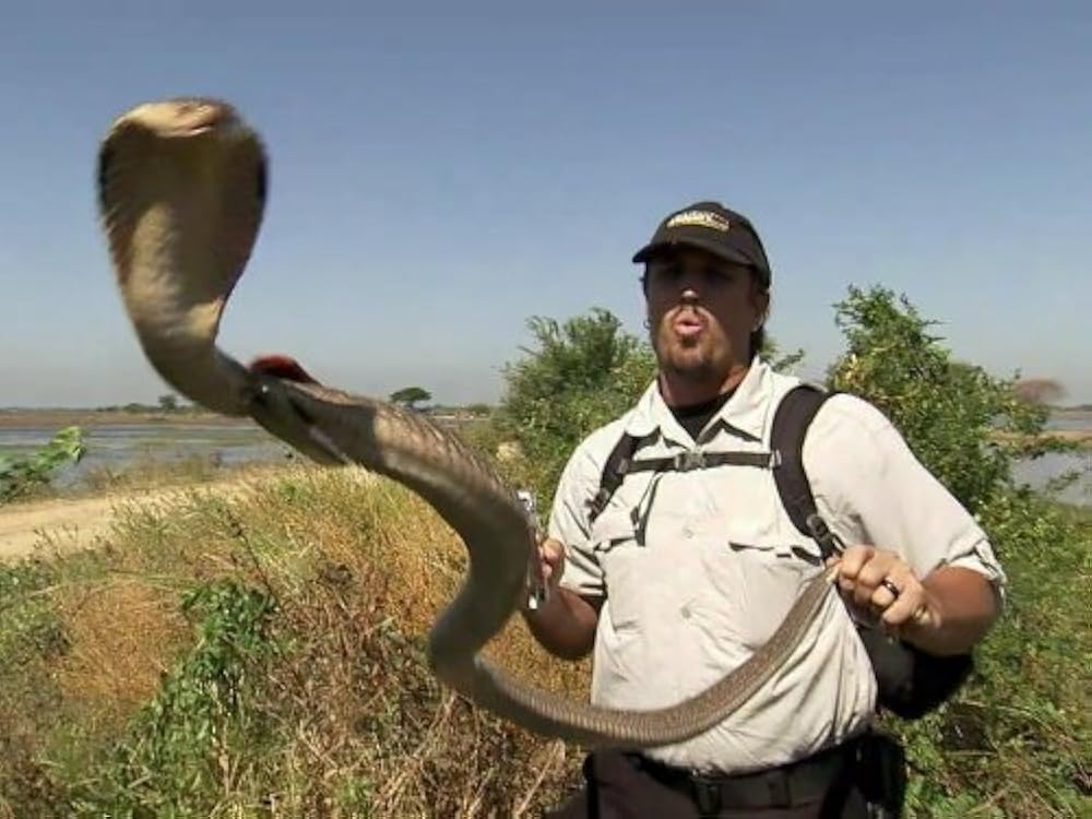 "Python Hunters" Bangkok Beasts (TV Episode 2012) - IMDb