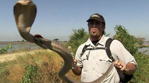 Python Hunters (TV Series 2010– ) - Episode list - IMDb