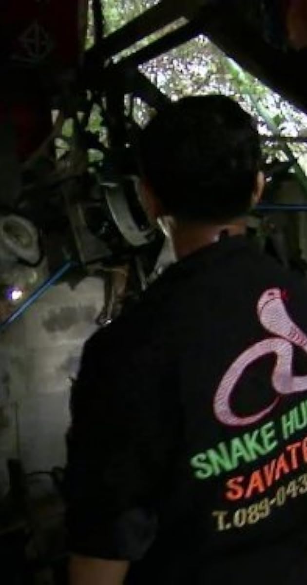 Python Hunters: Cobras in the City (2012) - News - IMDb