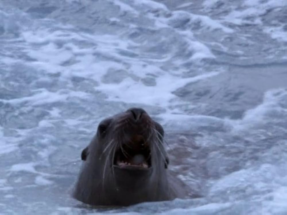 "Nature's Great Events" The Great Feast (TV Episode 2009) - IMDb