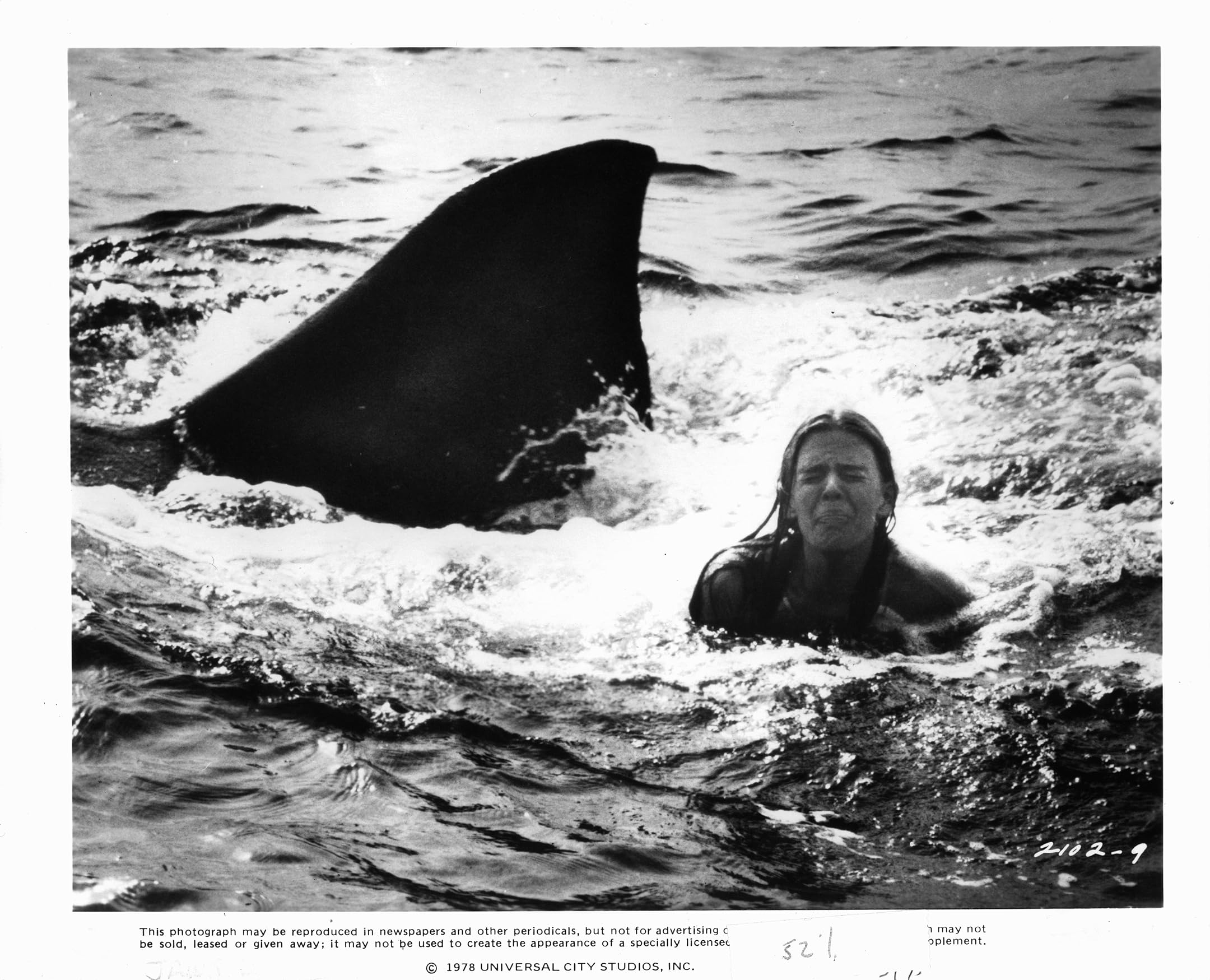 Jaws 2 (1978)